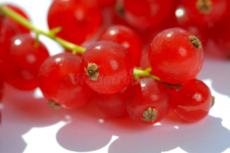 Rouge de corinthe image stock. Image du rouge, fruits - 10432523