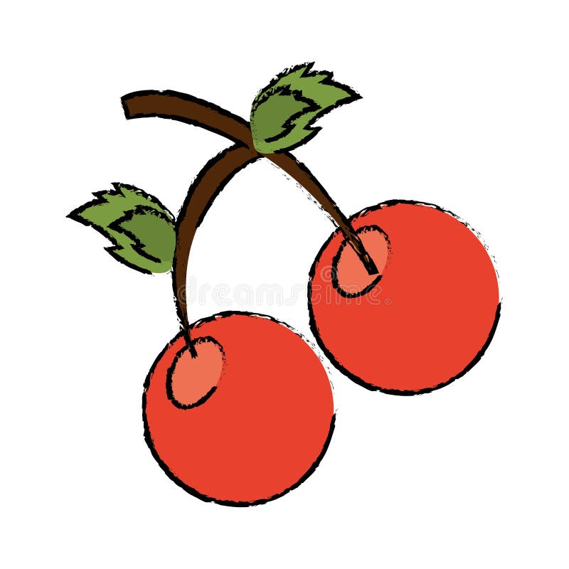 Rouge De Dessin De Fruit De Merise Illustration de Vecteur ...