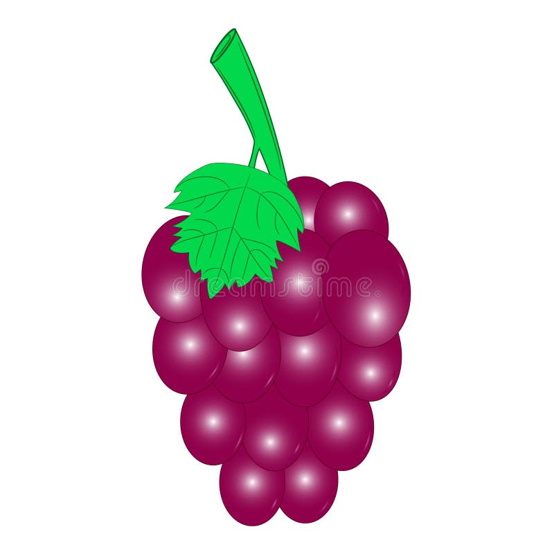 Rouge de raisin illustration de vecteur. Illustration du chic - 95588408