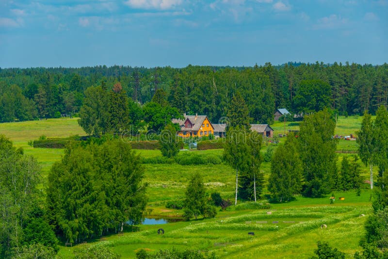 Rouge Lookout Tower in Estonia Stock Image - Image of water, baltic ...