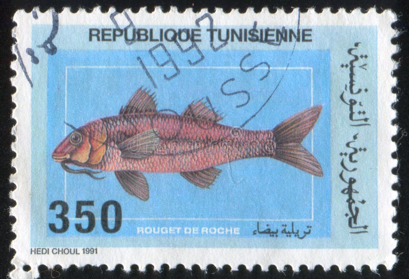 Roche Letter Hea Stock Photos - Free & Royalty-Free Stock Photos from ...