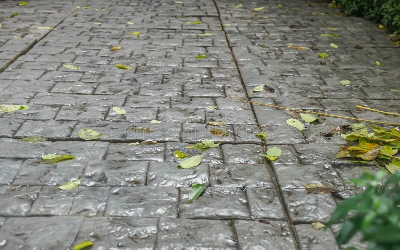 Rough Block Walkway in Garden with Yellow Falling Leaves Stock Photo ...