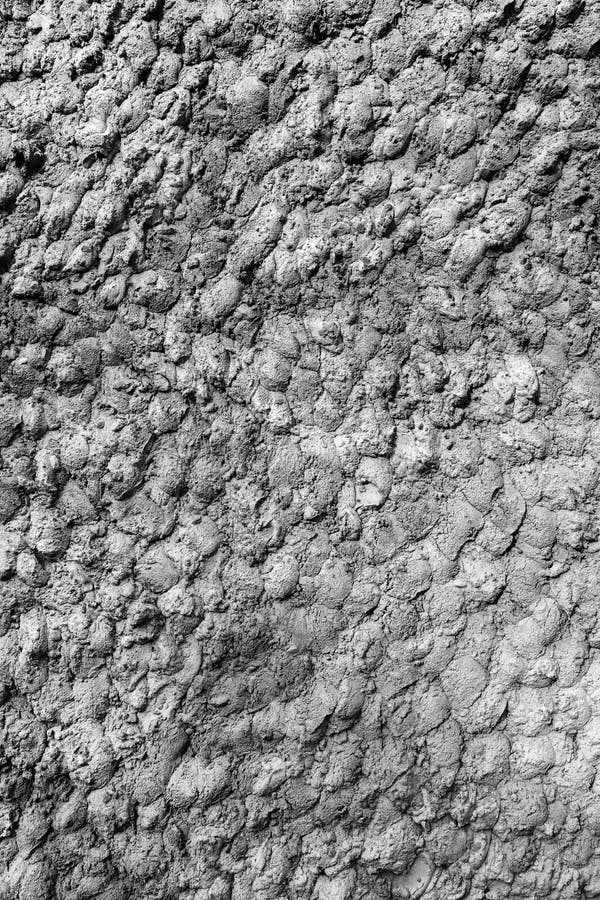 Rough Cast of Concrete and Cement Coating on the Wall Stock Image ...
