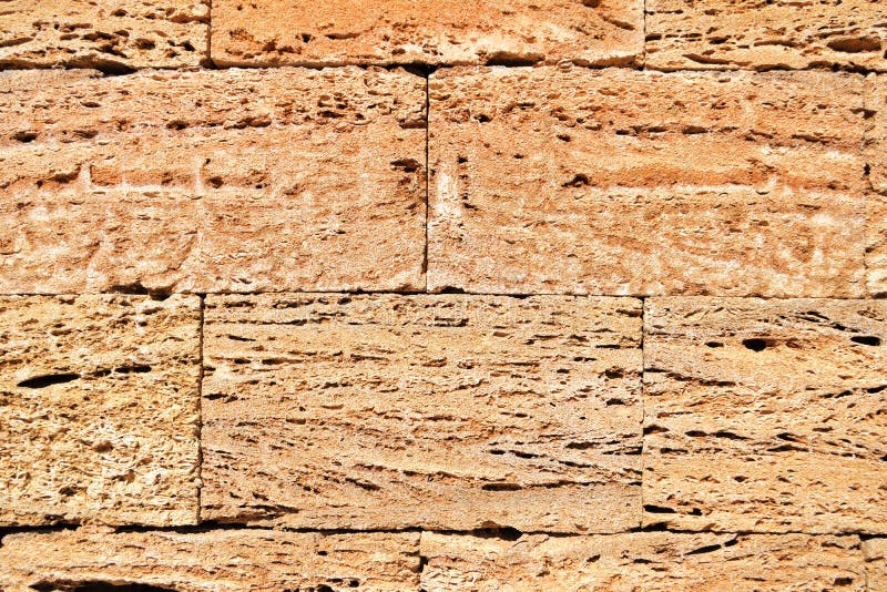 Rough Raw Coquina Shell Stone Surface Texture Stock Image - Image of ...