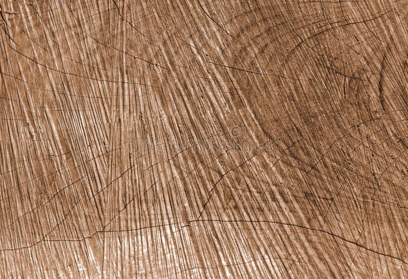 Rough Cut Brown Timber Surface with Patterned Scratched Surface Over ...