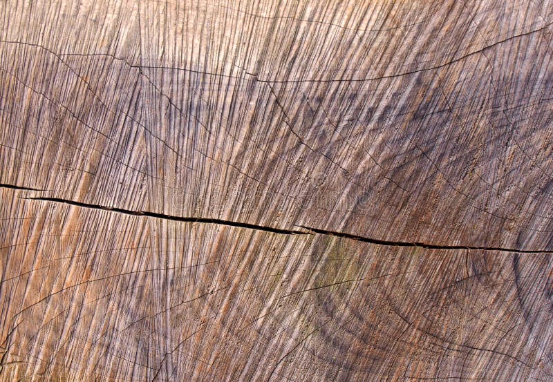 Rough Cut Brown Timber Surface with Patterned Scratched Surface Over ...