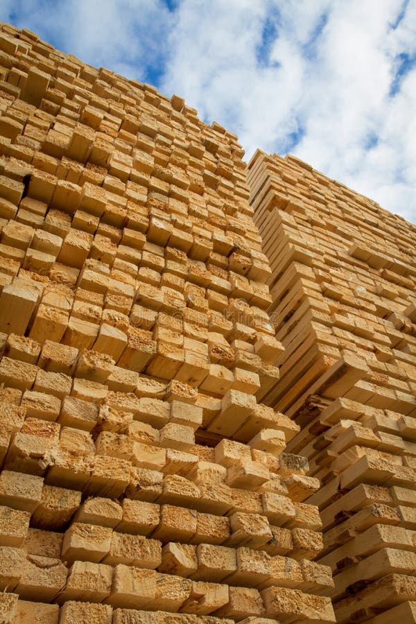 Rough cut lumber stock photo. Image of lumberyard, trees - 39642578