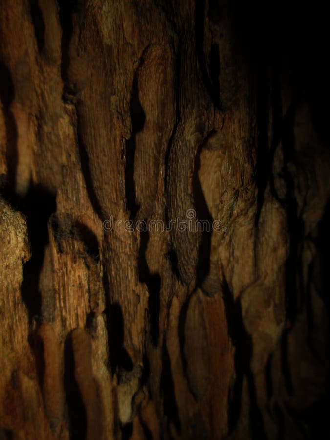 Rough Dark Brown Wooden Texture Formed by a Tree S Bark Stock Photo ...