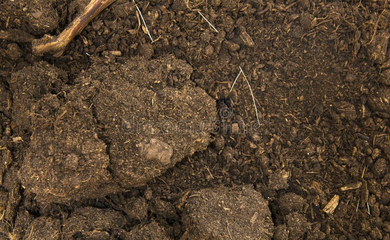 Rough Brown Red Earth Texture Stock Image - Image of resolution, grunge ...
