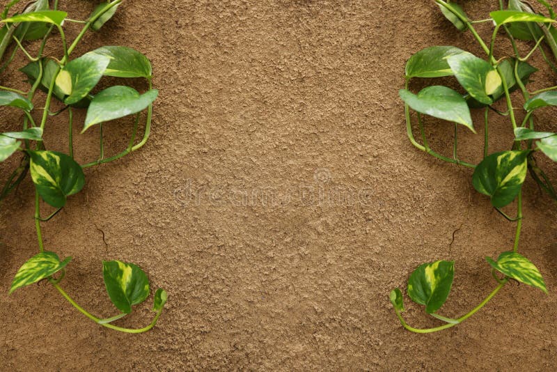 Rough Earthy Surface. Green Curly Plants from Right and Left Sides Make ...