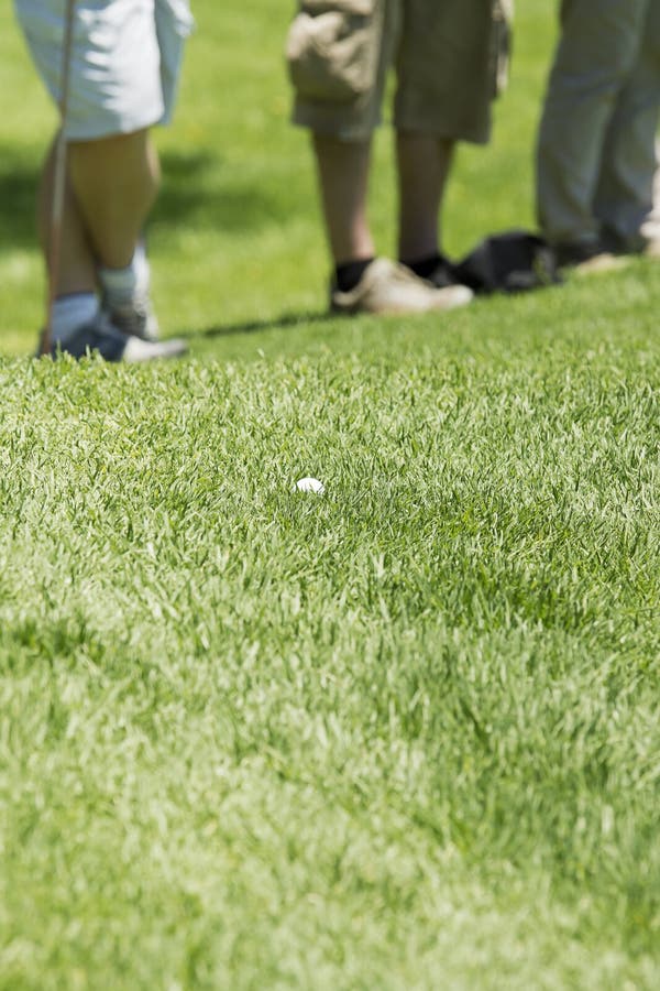 Rough Fringe of Fairway stock photo. Image of ground - 28206210