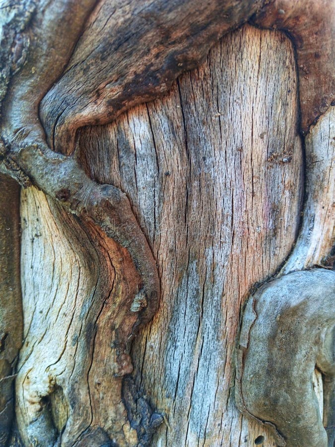 Wood Texture. Background Wood. Background Nature. Abstract Nature ...