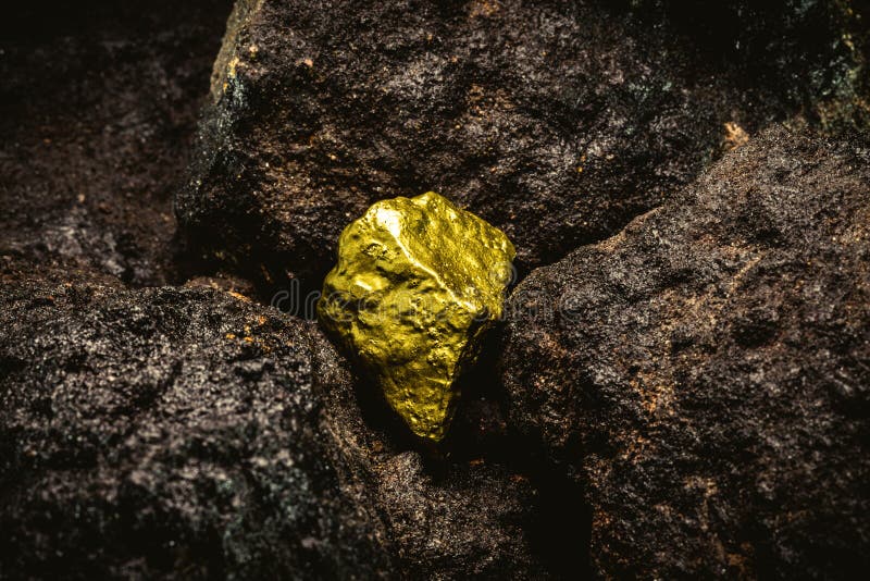 Golden stone column stock image. Image of library, architectural - 503763