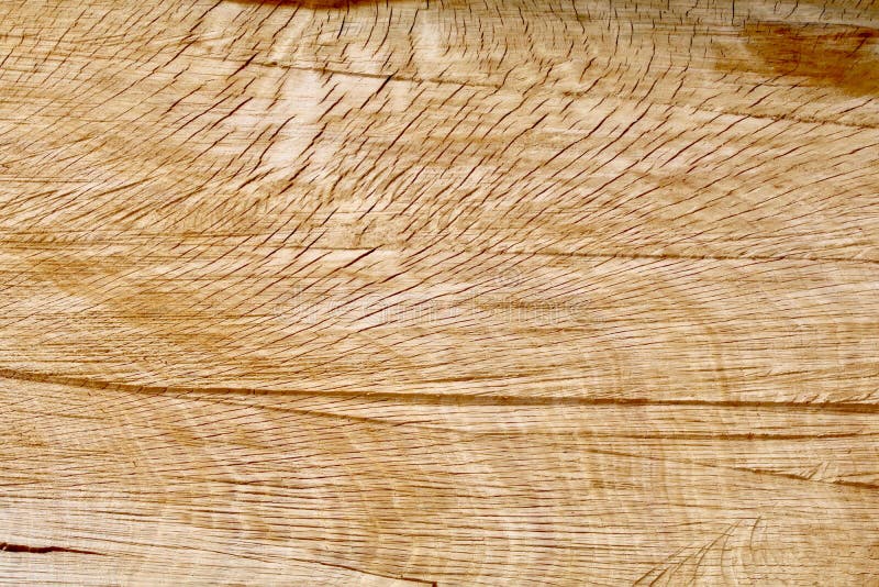 Rough Grained Split Oak Log Stock Photo - Image of closeup, material ...