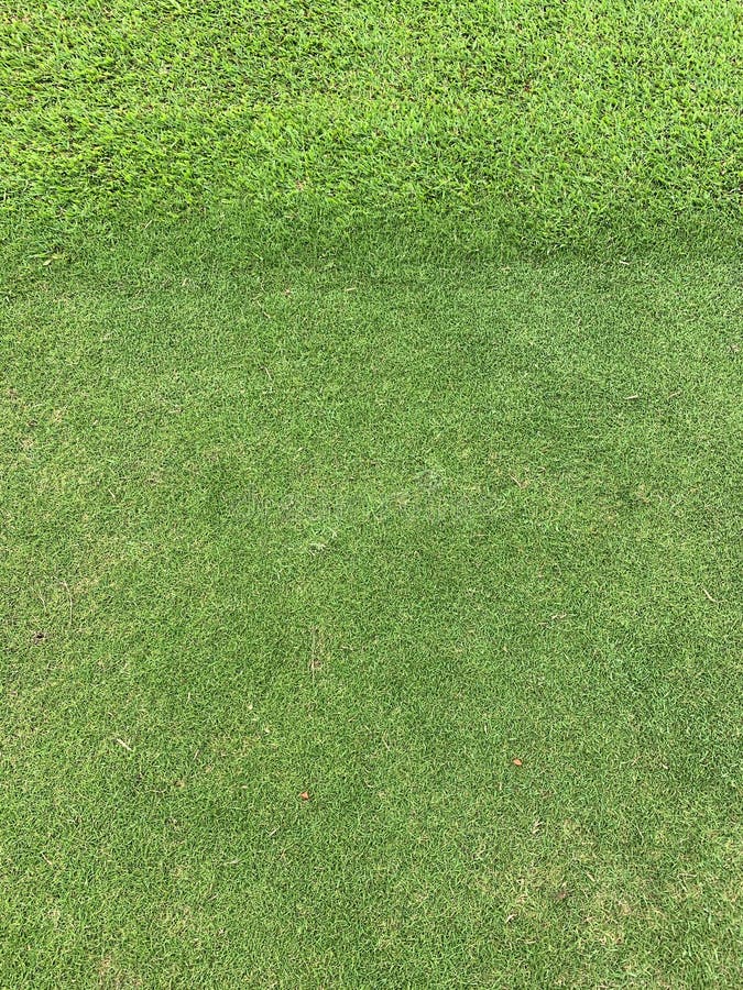 Grass Ground Wallpaper Hd