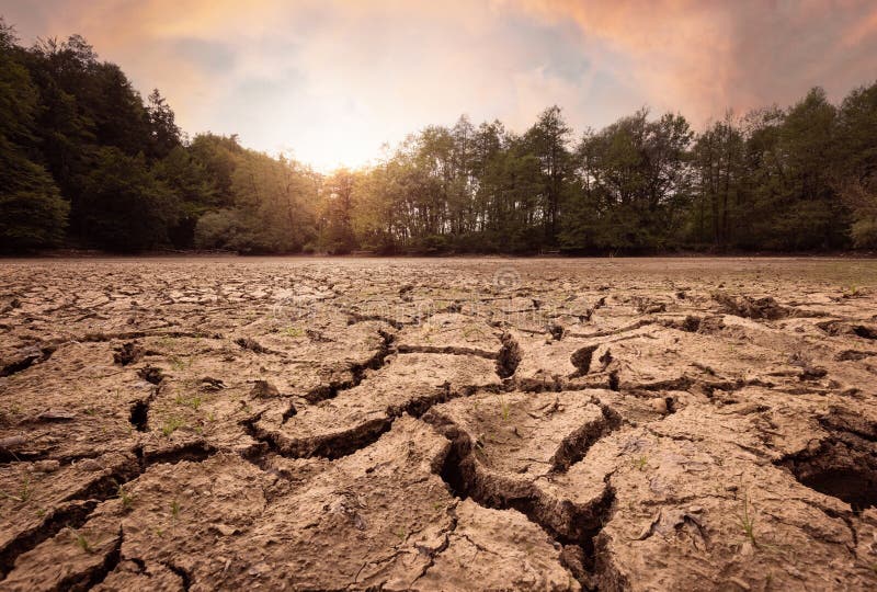 Rough Ground Surface, Texture with Desiccation Cracks Stock Photo ...