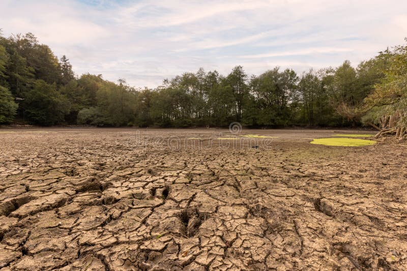 Rough Ground Surface, Texture with Desiccation Cracks Stock Photo ...