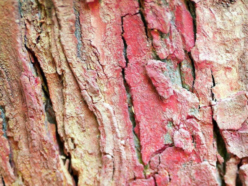 Rough Light Texture of a Bark of a Tree of Pink Brown Color Stock Photo ...