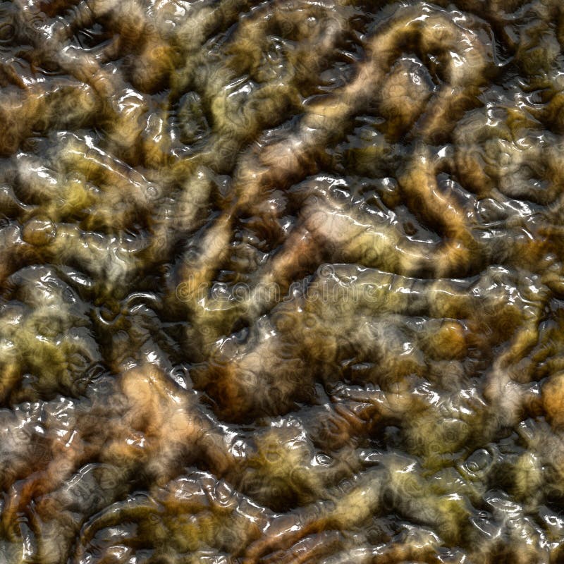 Rough lizard skin stock illustration. Illustration of guts - 2728557