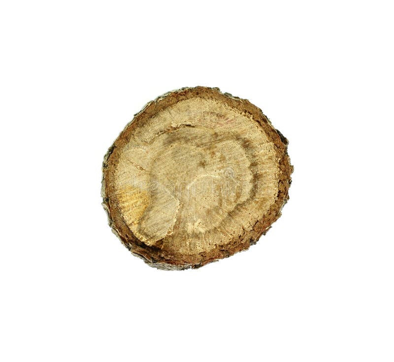 Rough Log Circle Cut Isolated on White Background. Stock Photo - Image ...