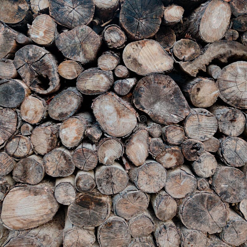 Rough cut logs stock photo. Image of recreation, growth - 31307244