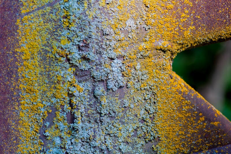 Rough Metal Surface Covered with Lichen Stock Image - Image of rusty ...