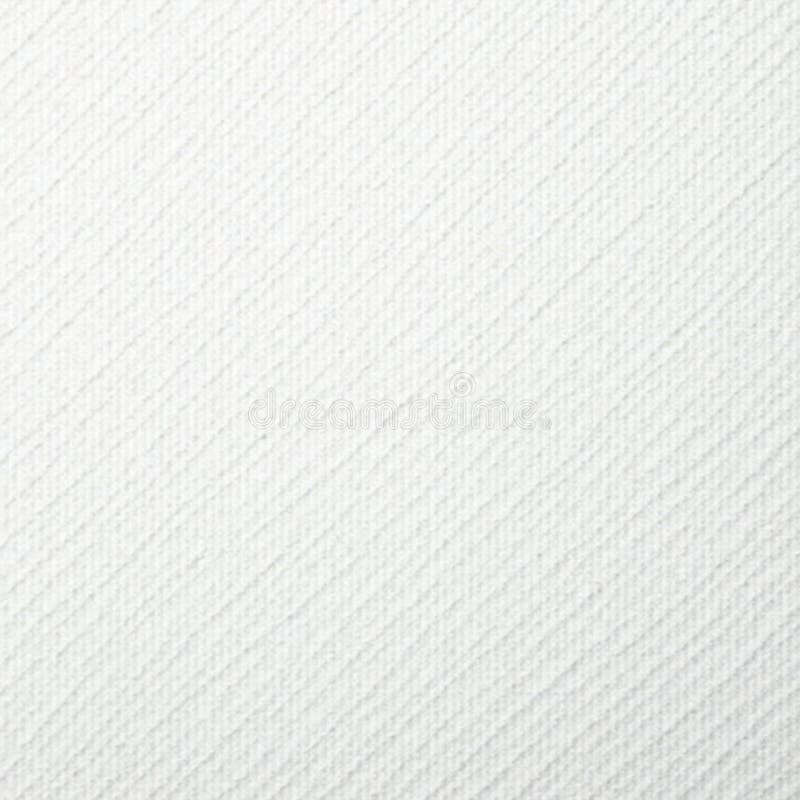 Rough, Off White Paper with Visible Fiber Texture, Scroll, Backdrop ...