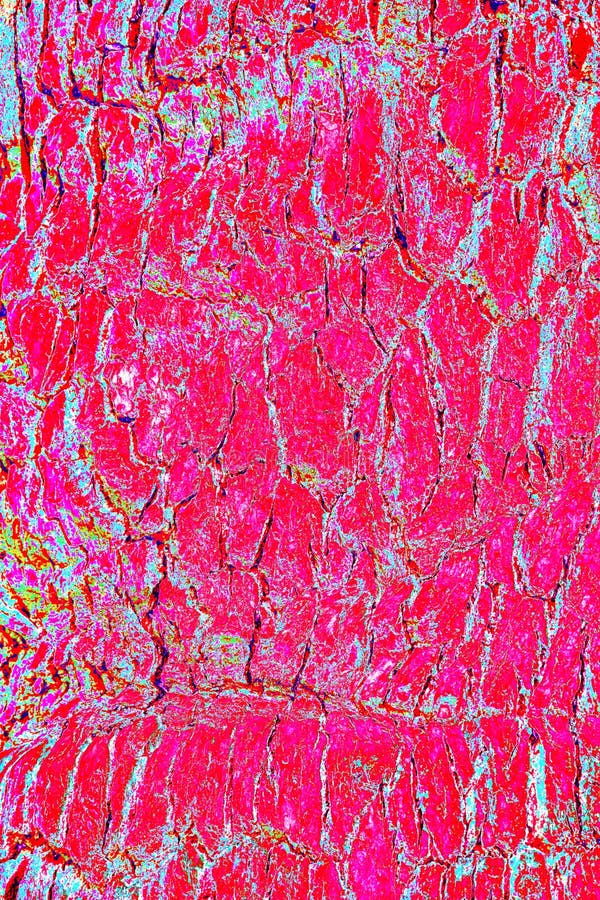 Rough Old Natural Oak Bark. Changed Color Scheme. Stock Image - Image ...