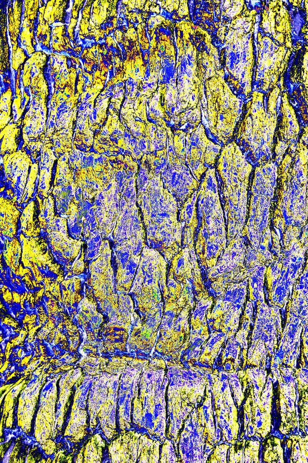 Rough Old Natural Oak Bark. Changed Color Scheme. Stock Image - Image ...