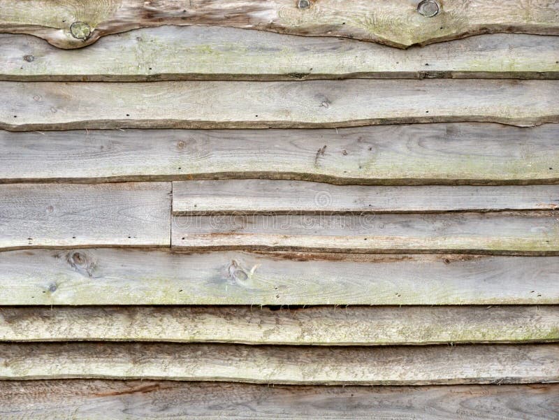 Rough Old Wood Siding with Green Mildew and Mold Stock Image - Image of ...