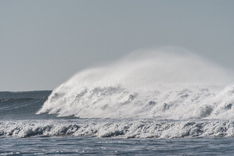 Rough Pacific Ocean Waves on Sandstone Cliffs, Sydney, Australia Stock ...