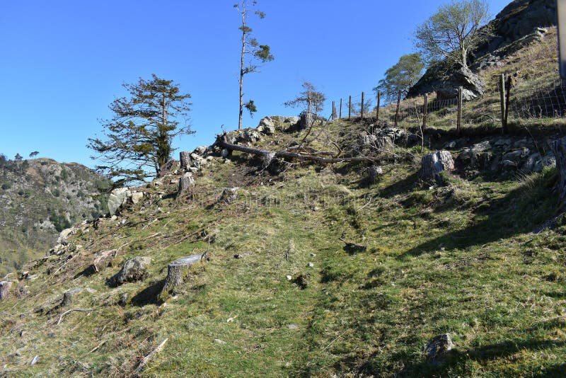 Rough path by fence stock image. Image of pastoral, agriculture - 250337565