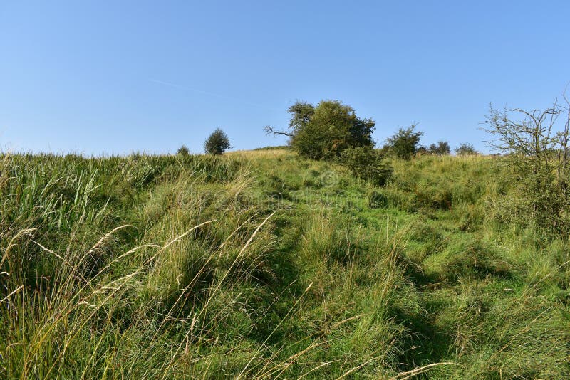 Rough path up hillside stock photo. Image of restful - 232596134