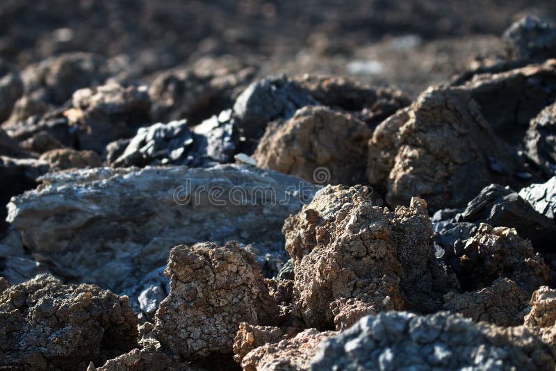 170 Clay Loamy Soil Stock Photos - Free & Royalty-Free Stock Photos ...