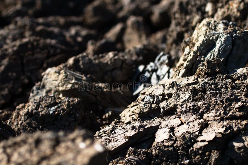 170 Clay Loamy Soil Stock Photos - Free & Royalty-Free Stock Photos ...