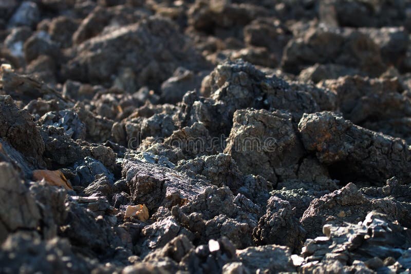 170 Clay Loamy Soil Stock Photos - Free & Royalty-Free Stock Photos ...