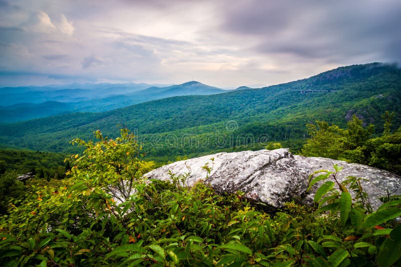Rough Ridge Overlook Viewing Area Off Blue Ridge Parkway Scenery Stock ...