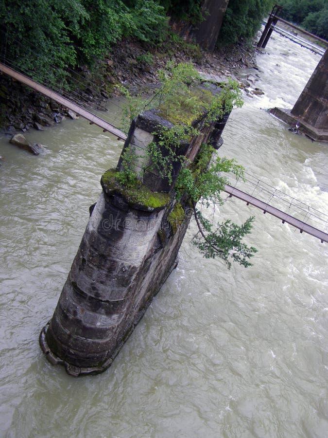 Rough River in the Carpathians and Stock Image - Image of stream, tree ...