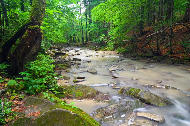 Rough River stock photo. Image of green, motion, clean - 31743100