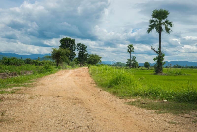 Rough Road Stock Photos - Download 61,804 Royalty Free Photos