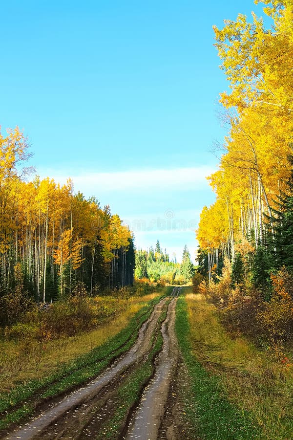 A Rough Road Taken while Hunting in Fall Stock Photo - Image of dirt ...