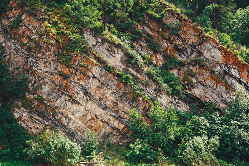 Rock Covered with Vegetation Stock Photo - Image of mountain ...