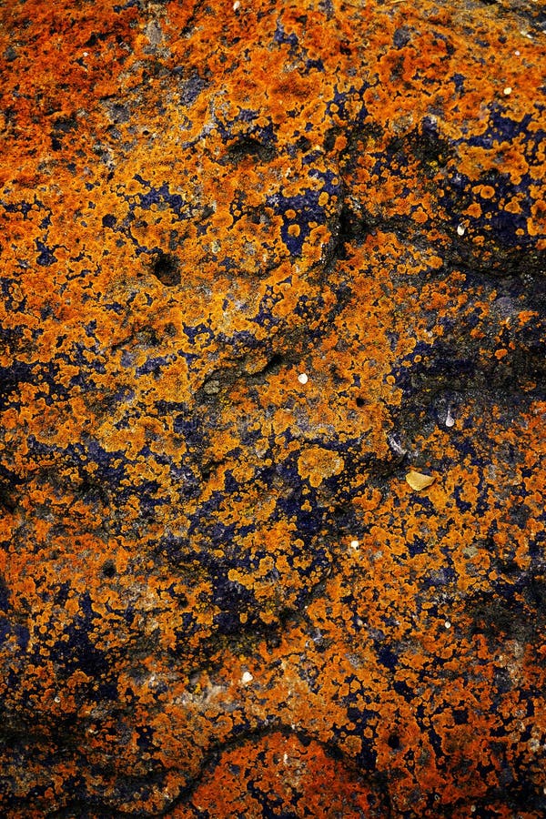 Rough Rock Texture with Rust Lichens Growth Old Stock Photo - Image of ...