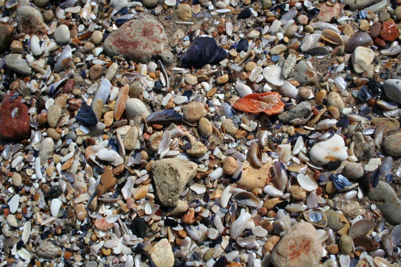Rough sand stock photo. Image of foot, shell, color, walk - 1478598
