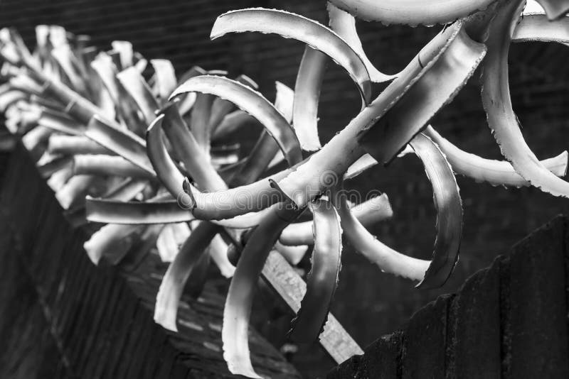 Rough Sharp Steel Fence Fragment Stock Photo - Image of wire, dangerous ...