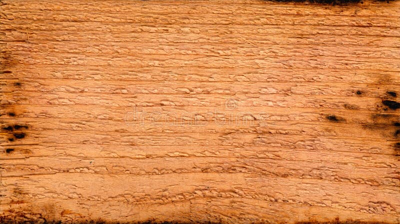 Used Salmon Cedar Plank Texture and Background Stock Image - Image of ...