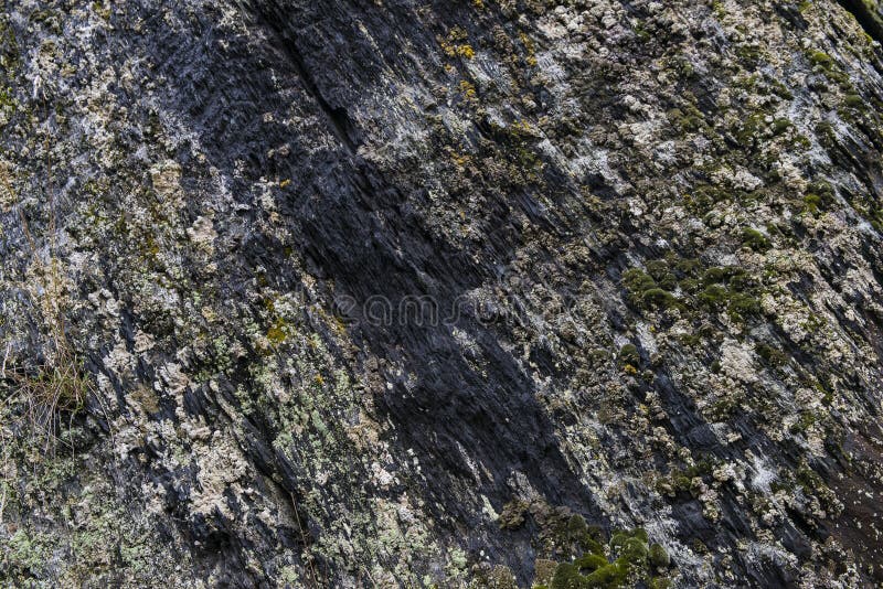 Rough Stone with Moss Texture Stock Image - Image of backdrop, dirty ...