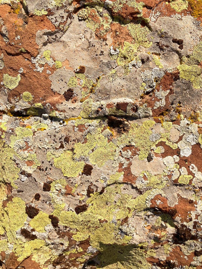 Rough Stone Texture, Stone Surfaces Seamless Texture Stock Image ...