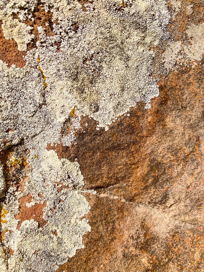 Rough Stone Texture, Stone Surfaces Seamless Texture Stock Image ...