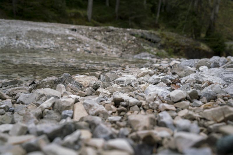 Rough Stony Ground in a Forest Stock Photo - Image of creek, trail ...